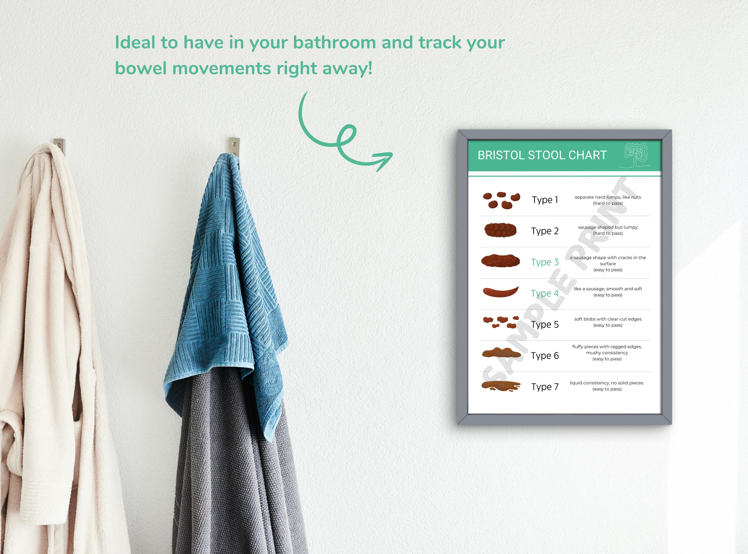 Bristol Stool Chart PDF: Gut Health Tracker (A3, A4, A5, US Letter ...