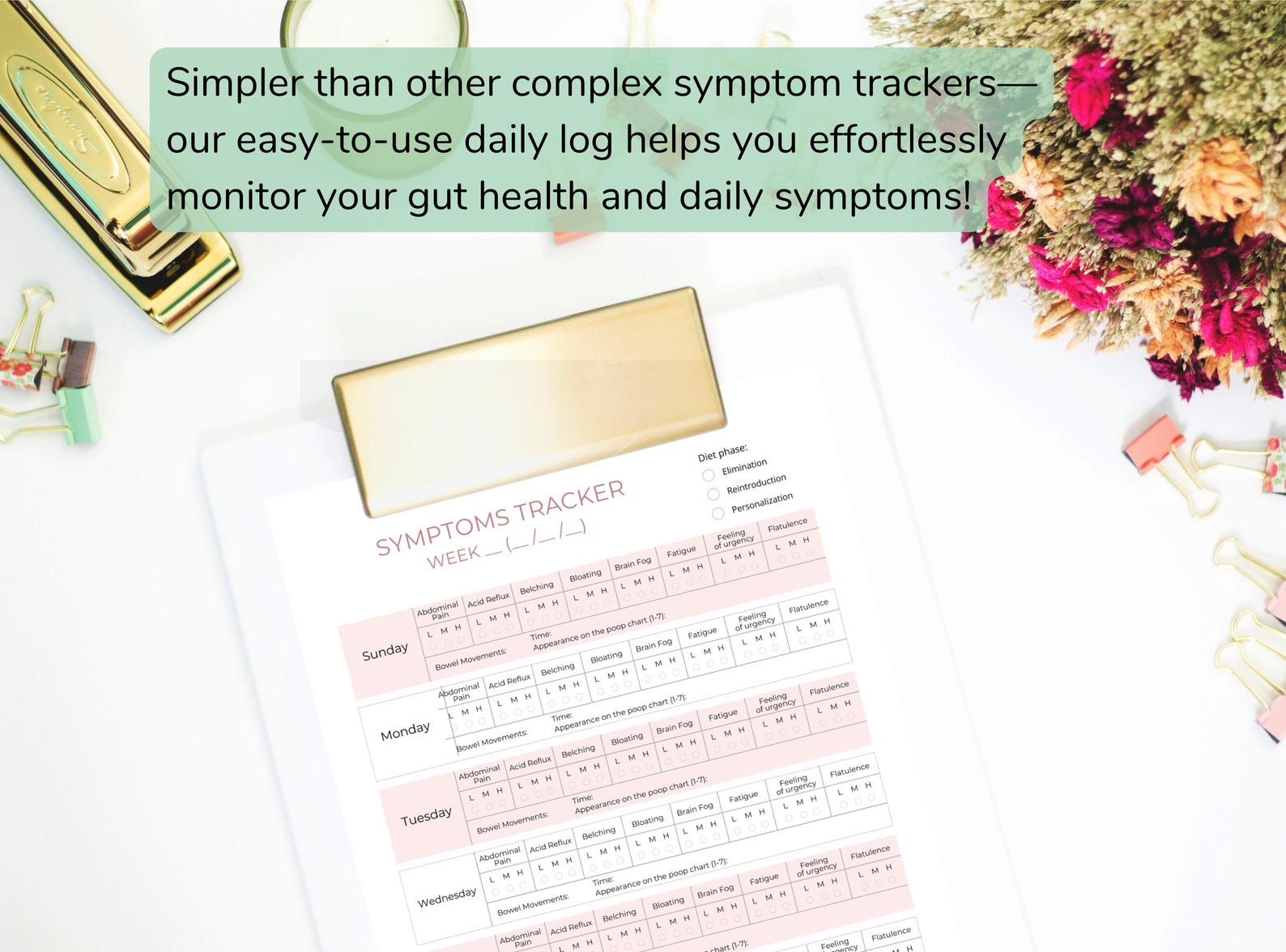 IBS Symptom Tracker Template, Bristol Stool Chart Chronic Pain Tracker ...
