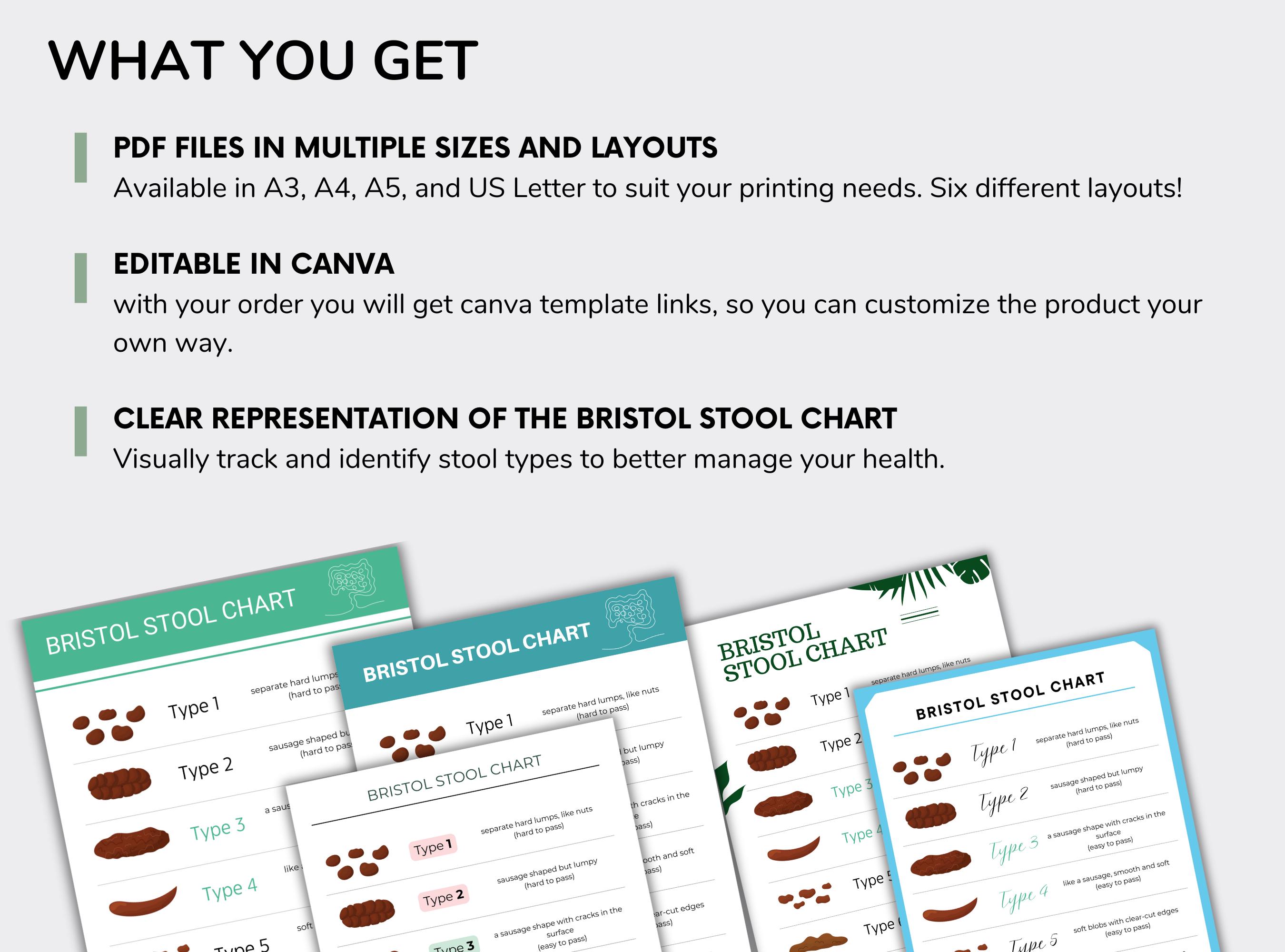 Editable Bristol Stool Chart: Gut Health Tracker (canva, PDF) - Etsy