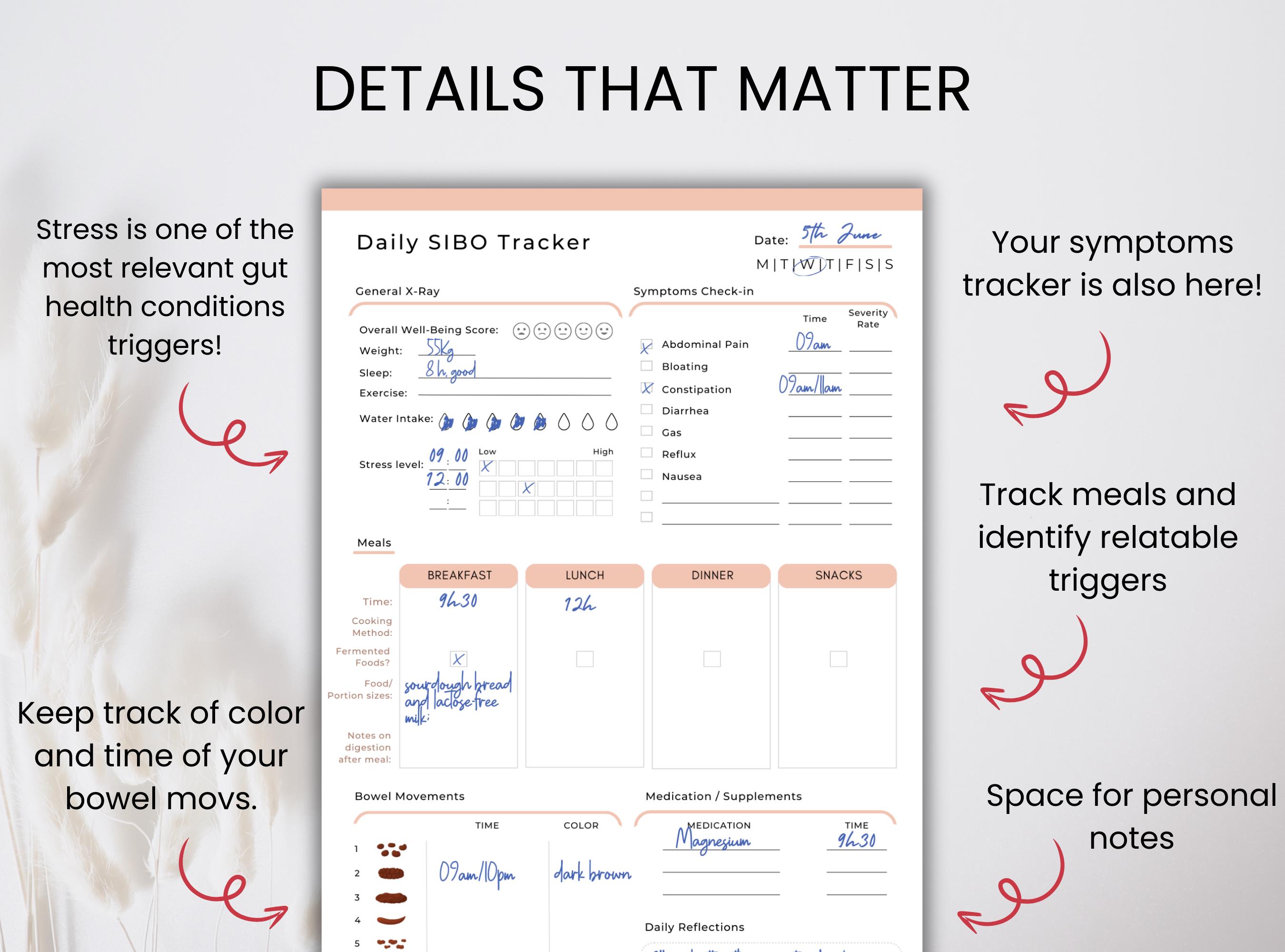 SIBO Symptom Tracker: Daily Gut Health Journal (fillable PDF) - Etsy