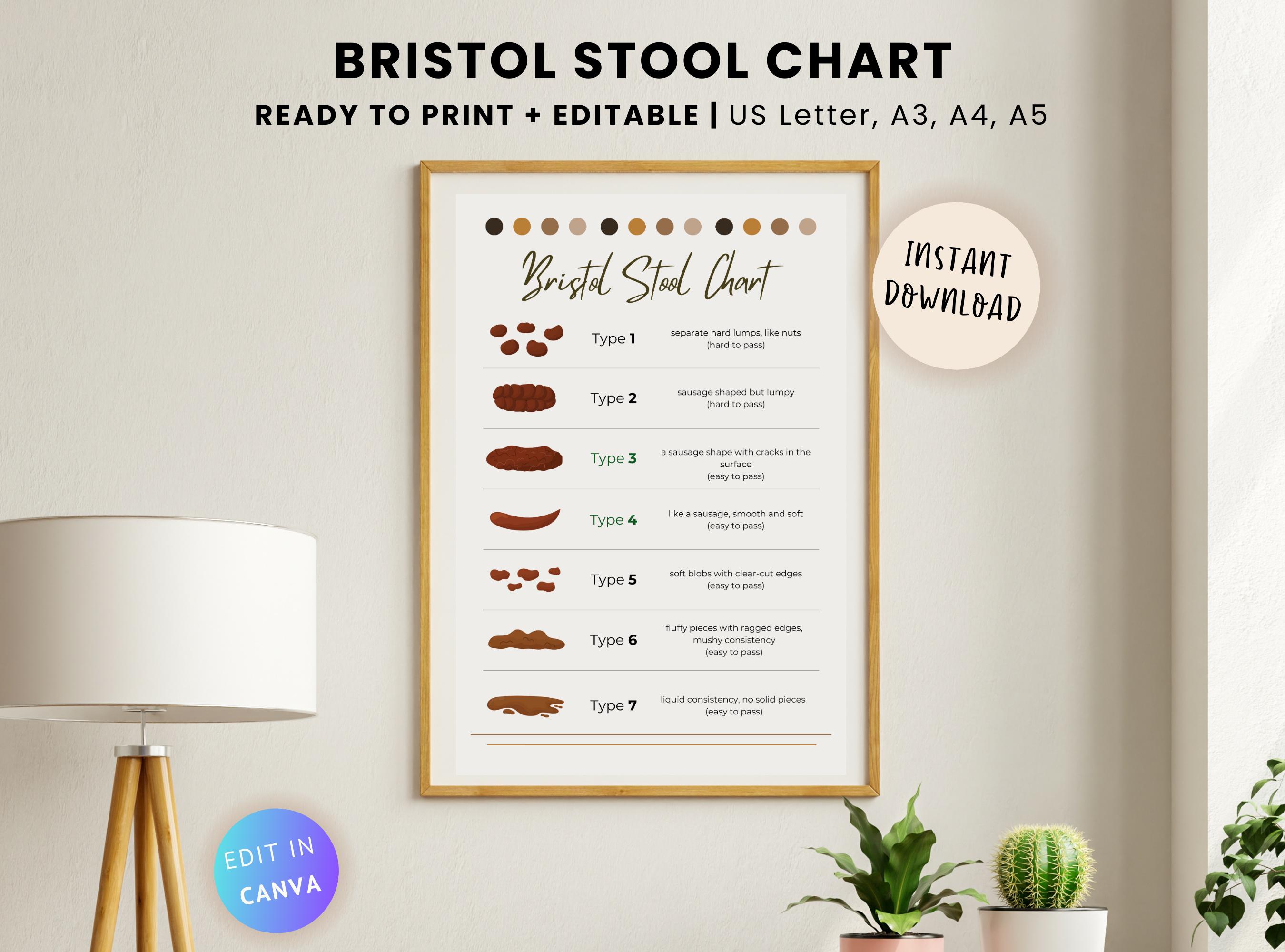Editable Bristol Stool Chart, PDF Gut Health Poop Poster, IBS, Bowel ...