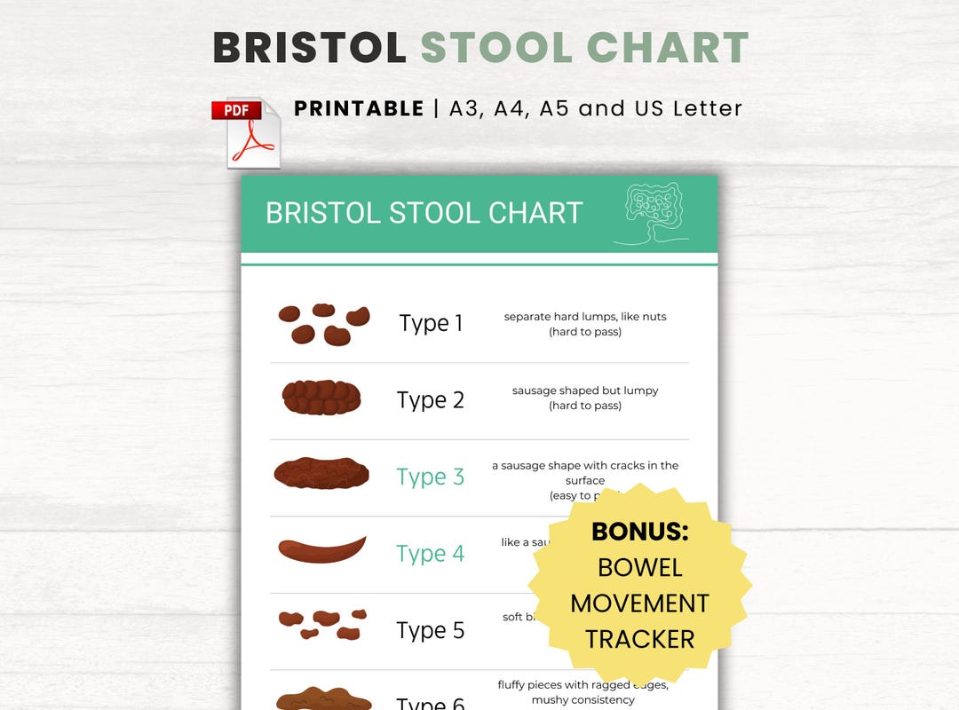 Bristol Stool Chart Pdf Gut Health Tracker A3 A4 A5 Us Letter
