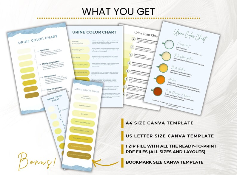 Editable Urine Color Chart: Hydration & Dehydration Chart (PDF, Canva ...