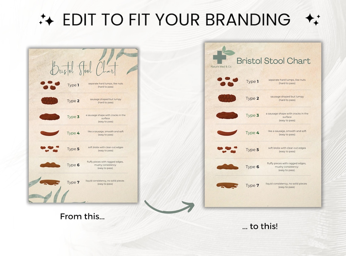 Editable & Printable Bristol Stool Chart, PDF Gut Health Poop Poster ...