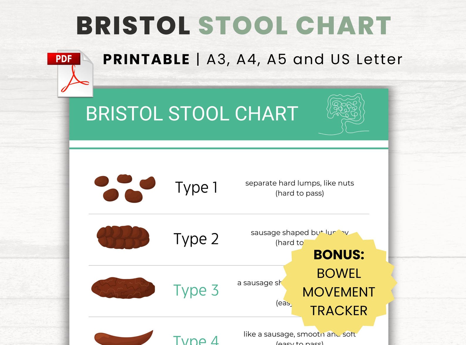 Bristol Stool Chart PDF, Poop Tracker for Gut Health, IBS, Bowel ...