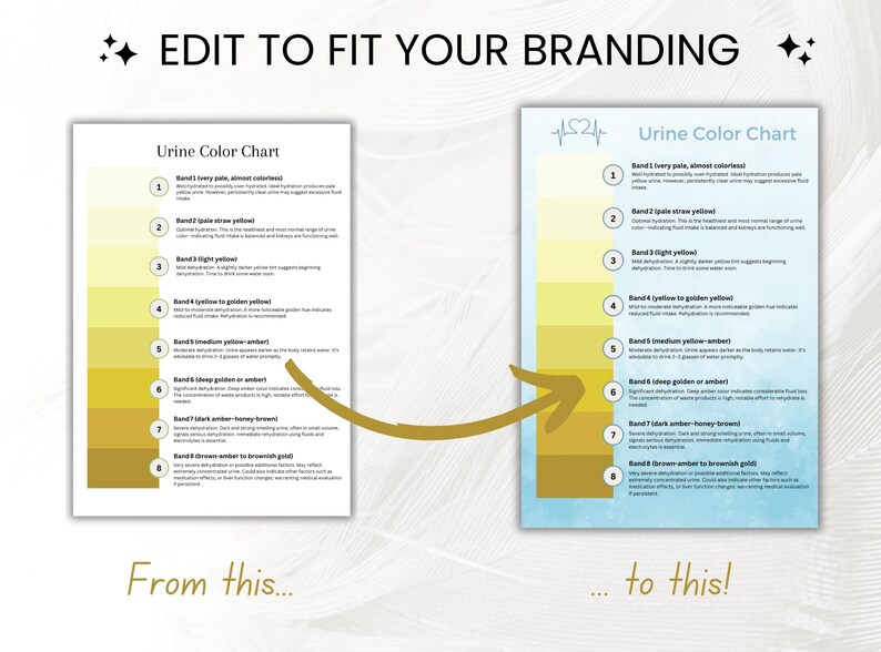 Editable Urine Color Chart: Hydration & Dehydration Chart (PDF, Canva ...