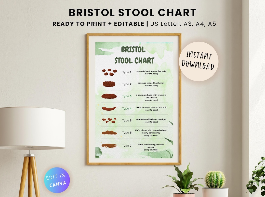 Printable Bristol Stool Chart, PDF Gut Health Poop Poster,ibs,bowel ...