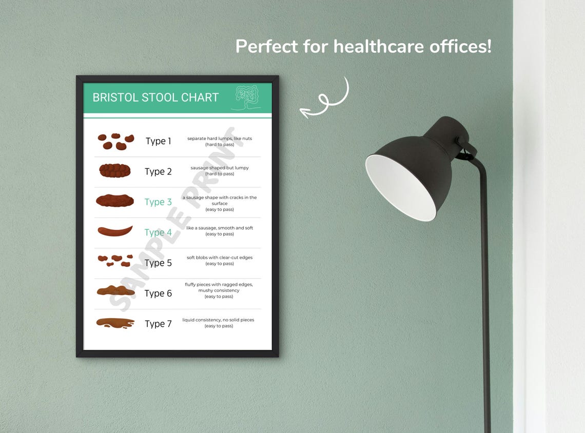 Bristol Stool Chart PDF, Poop Tracker for Gut Health, IBS, Bowel ...