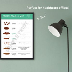 Bristol Stool Chart PDF: Gut Health Tracker (A3, A4, A5, US Letter) - Etsy