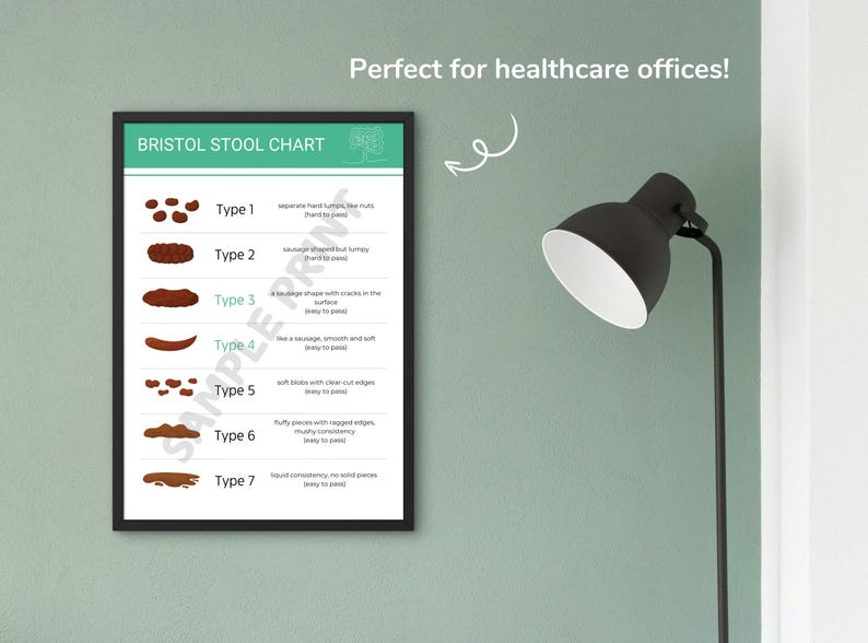 Bristol Stool Chart PDF: Gut Health Tracker (A3, A4, A5, US Letter) - Etsy