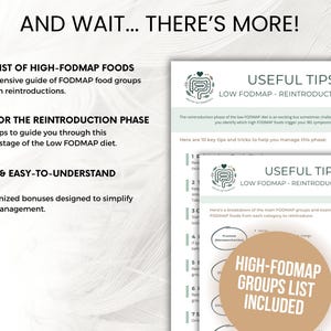 Low FODMAP Food Reintroduction Tracker: IBS Food Sensitivity Log ...
