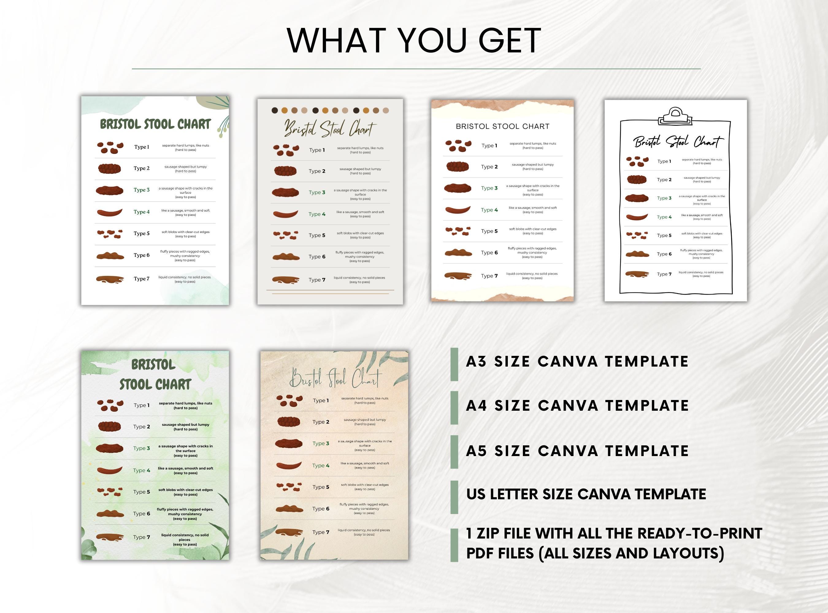 Vers Bristol Stool Chart Printable