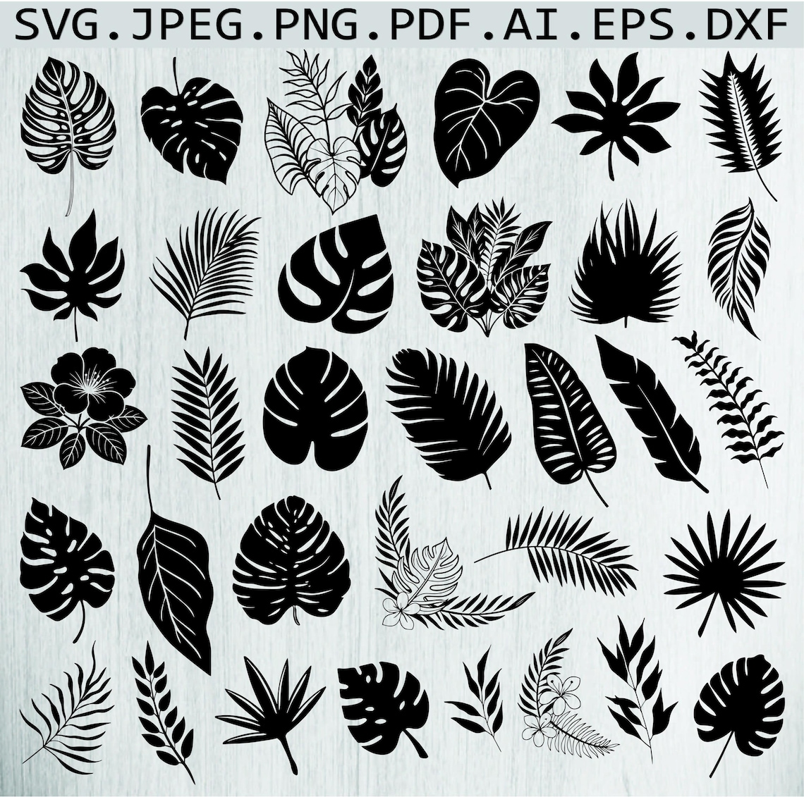 Monstera Leaf SVG Bundle: Tropical Leaves Clipart (digital Download - Etsy