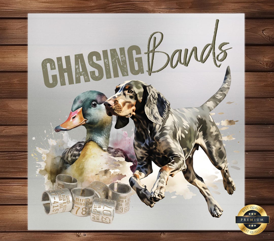 Chasing Bands DTF Transfer, Duck Hunting Enthusiast Design, Perfect for ...