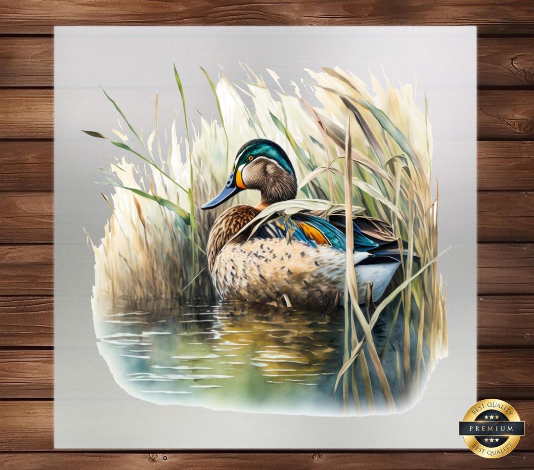 Mallard Duck DTF Transfer, Perfect for Custom Apparel & Waterfowl ...