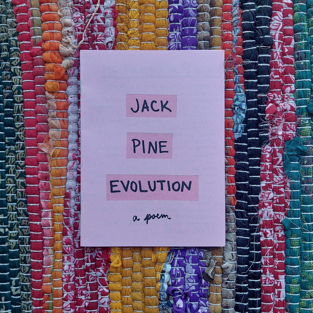 Jack Pine Evolution - Etsy