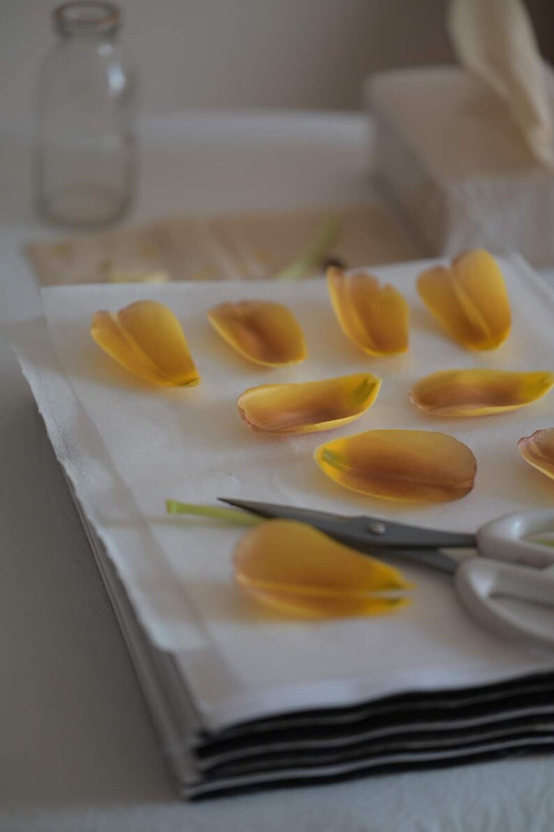 Pressed-flower Art Frame tulip Bouquet - Etsy