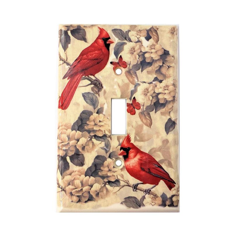 Light Switch Cover Foods - Etsy