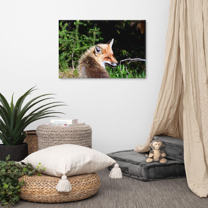 Happy Fox Fine Art Wall Decor XL Canvas, Fox Photography Print: A ...