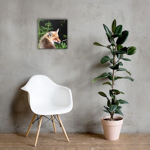 Happy Fox Fine Art Wall Decor XL Canvas, Fox Photography Print: A ...