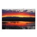 Happy Fox Fine Art Wall Decor XL Canvas, Fox Photography Print: A ...
