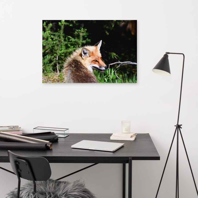 Happy Fox Fine Art Wall Decor XL Canvas, Fox Photography Print: A ...