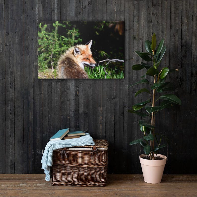 Happy Fox Fine Art Wall Decor XL Canvas, Fox Photography Print: A ...