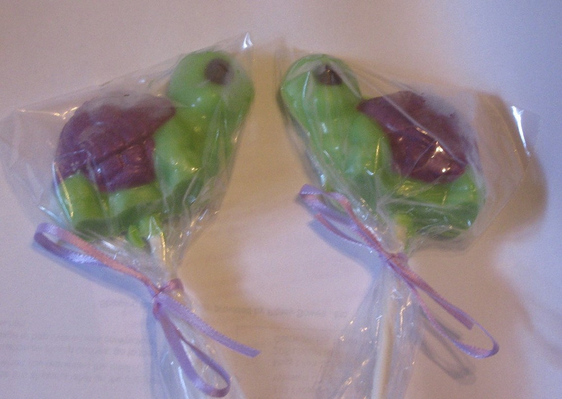 One Dozen Adorable Turtle Lollipops - Etsy