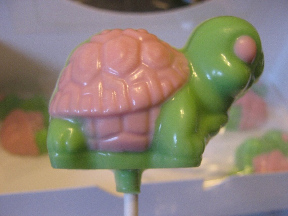 One Dozen Adorable Turtle Lollipops Suckers Party Favors - Etsy