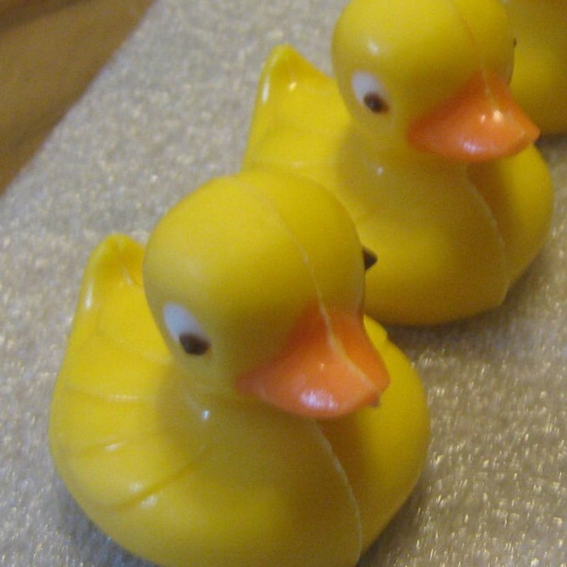 Chocolate Ducky - Etsy