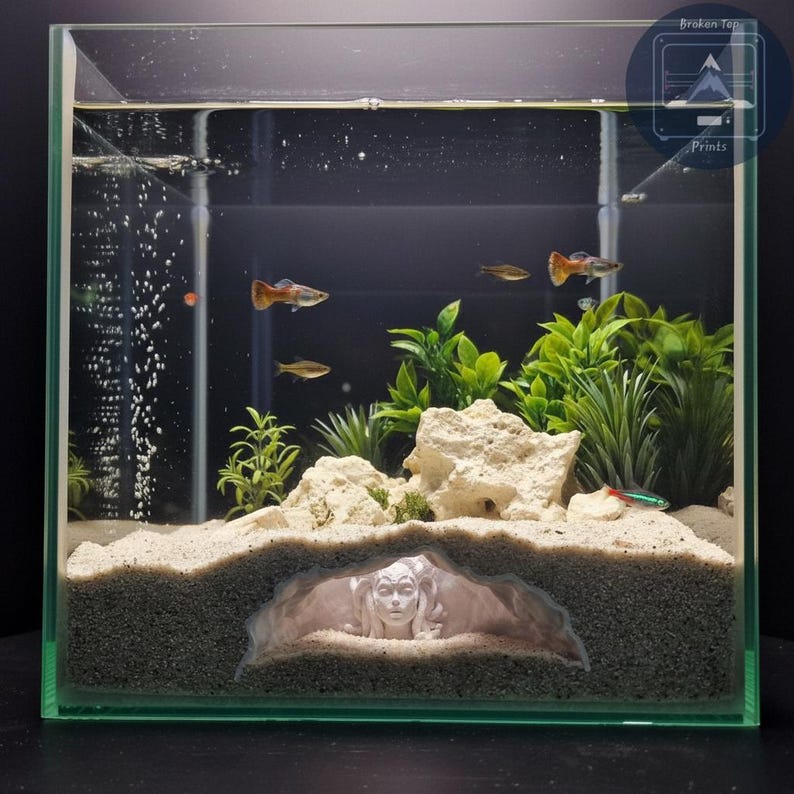 Medusa’s Lair – Aquarium & Terrarium Cave Hideout for Fish, Shrimp, and ...