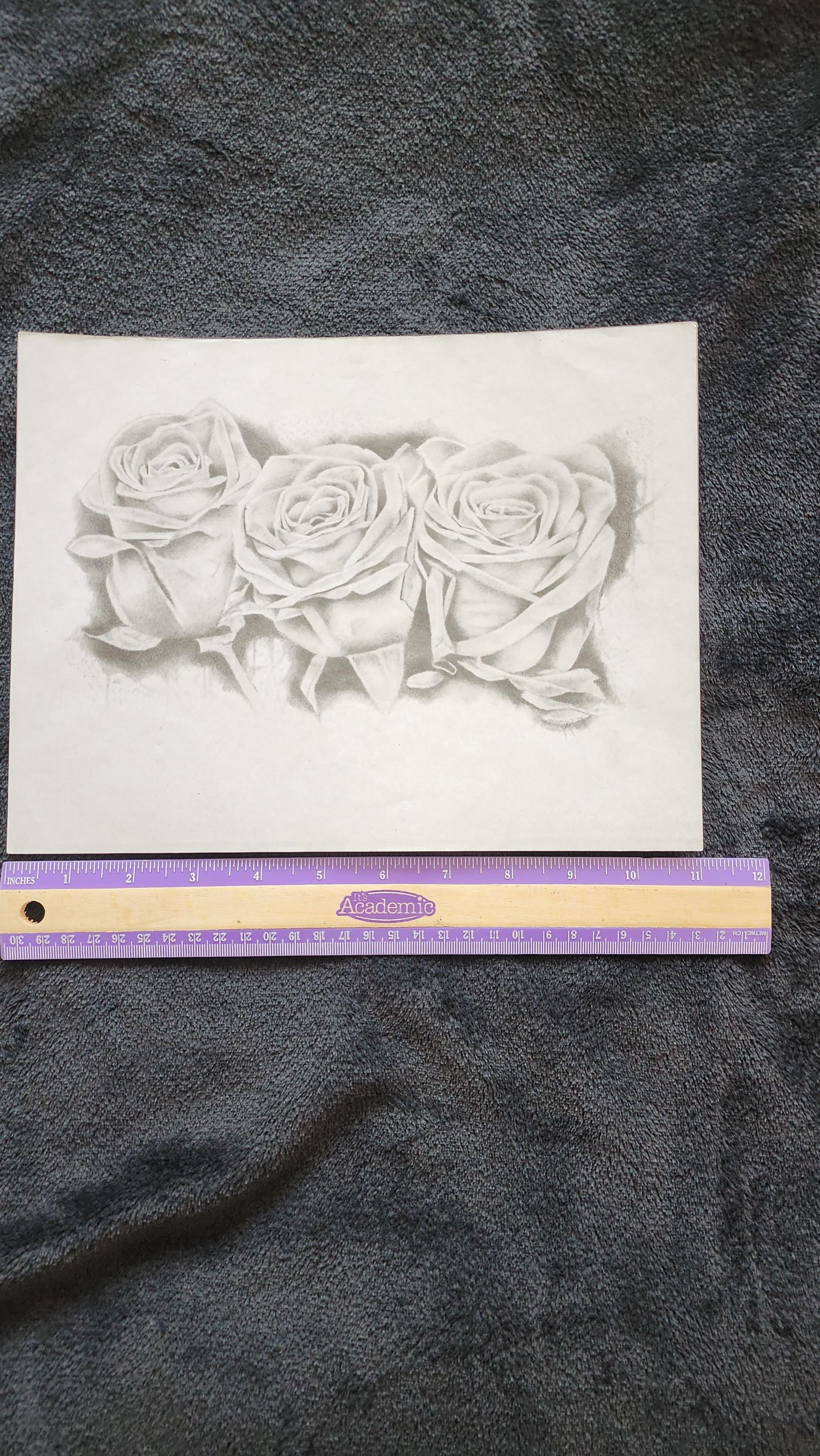 Roses Drawing - Etsy