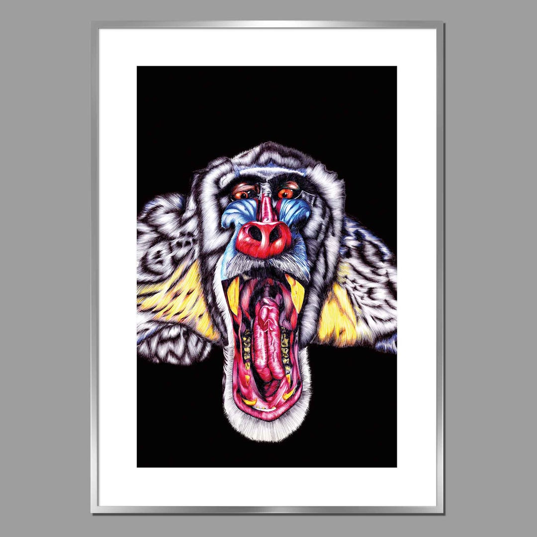 Art, Prints, Drawing, Illustration, Hand Drawn, Baboon, Biro Art ...