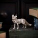 Handcrafted Solid Sterling Silver Fox Sculpture – Miniature Figurine ...