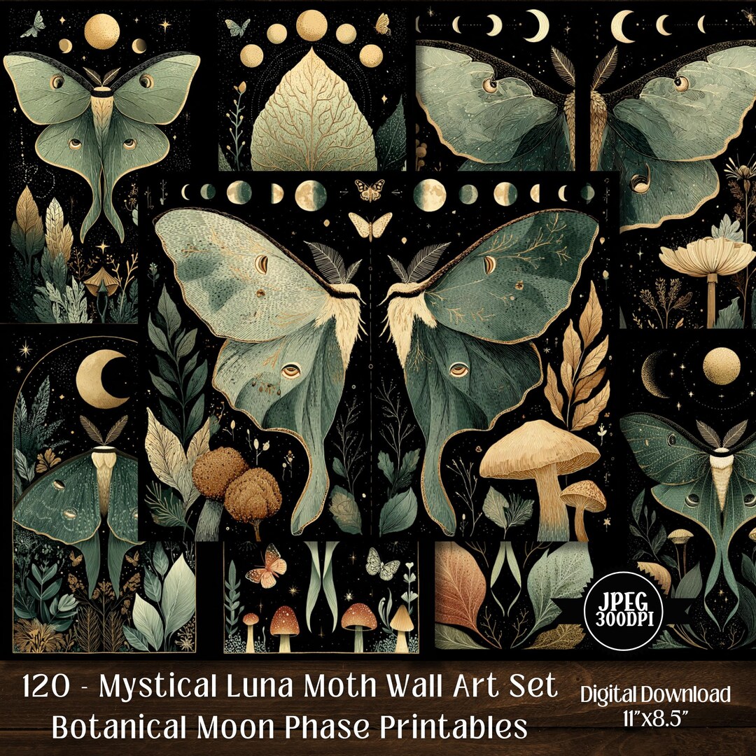 Botanical Luna Moth Print Set, Celestial Wall Art (digital Download) - Etsy
