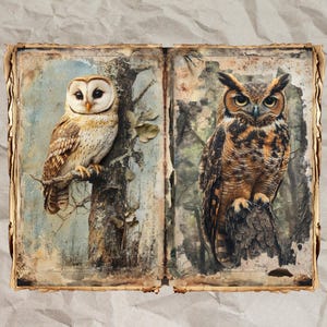 Wild Owl Junk Journal Printable Pages | Vintage Owl in Forest Themed ...