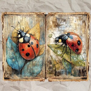 Vintage Ladybug Junk Journal Pages: Shabby Chic Collage (45 JPEG) - Etsy