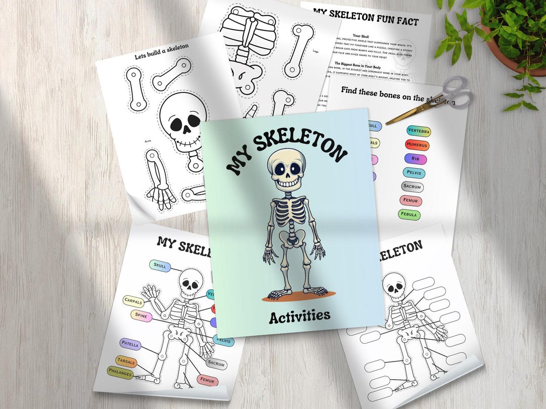 Human Skeleton Busy Page, Children's Body Activity, Kids Printable ...