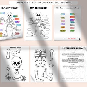 Human Skeleton Busy Page, Children's Body Activity, Kids Printable ...
