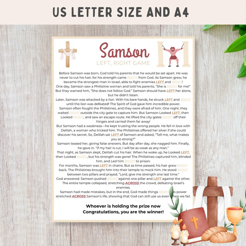 Samson Bible - Etsy