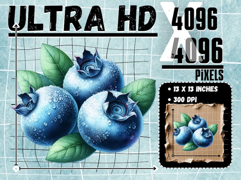 11 Frozen Fruit Clipart Bundle | Blueberry Collection - Realistic ...