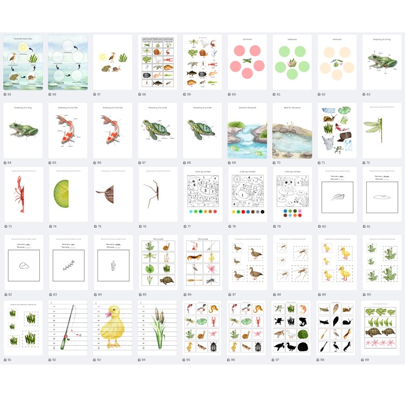 Pond Life Unit Study | 70 Pages of Printable Activities | 3-part ...