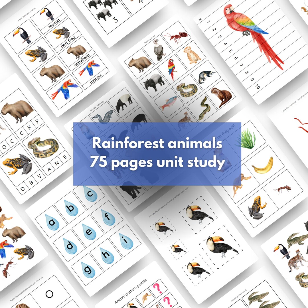 Rainforest Animals Unit Study | 70 Pages of Printable Activities | 3 ...