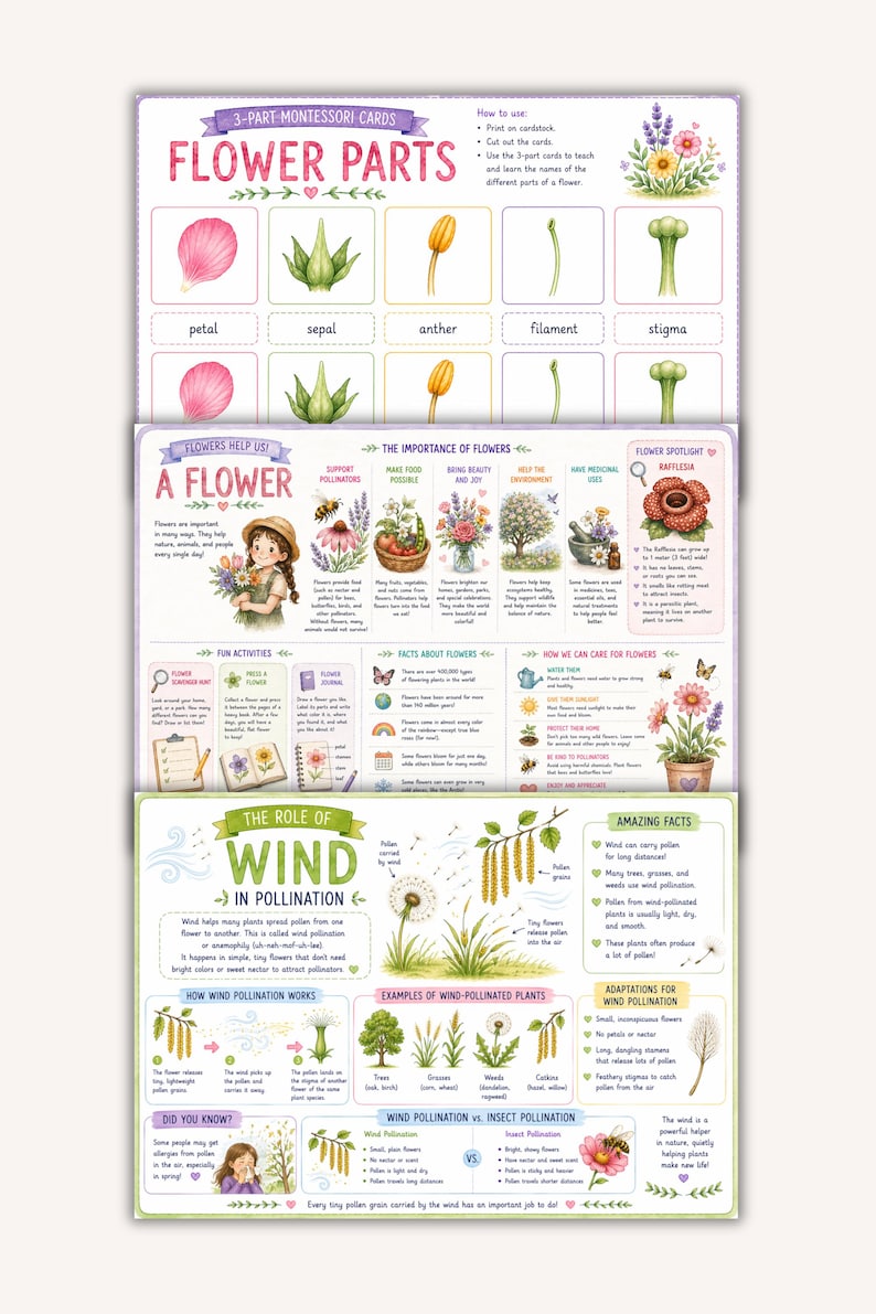 Flower Unit Study Printables | Nature Learning, Pollinators, Plants ...