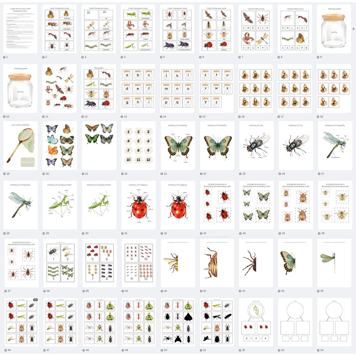 Bugs and Insects Montessori Unit Study | 70 Pages of Printable ...