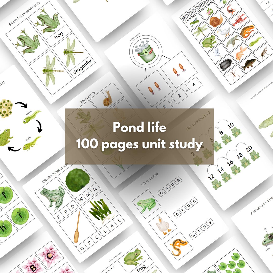 Pond Life Unit Study | 70 Pages of Printable Activities | 3-part ...