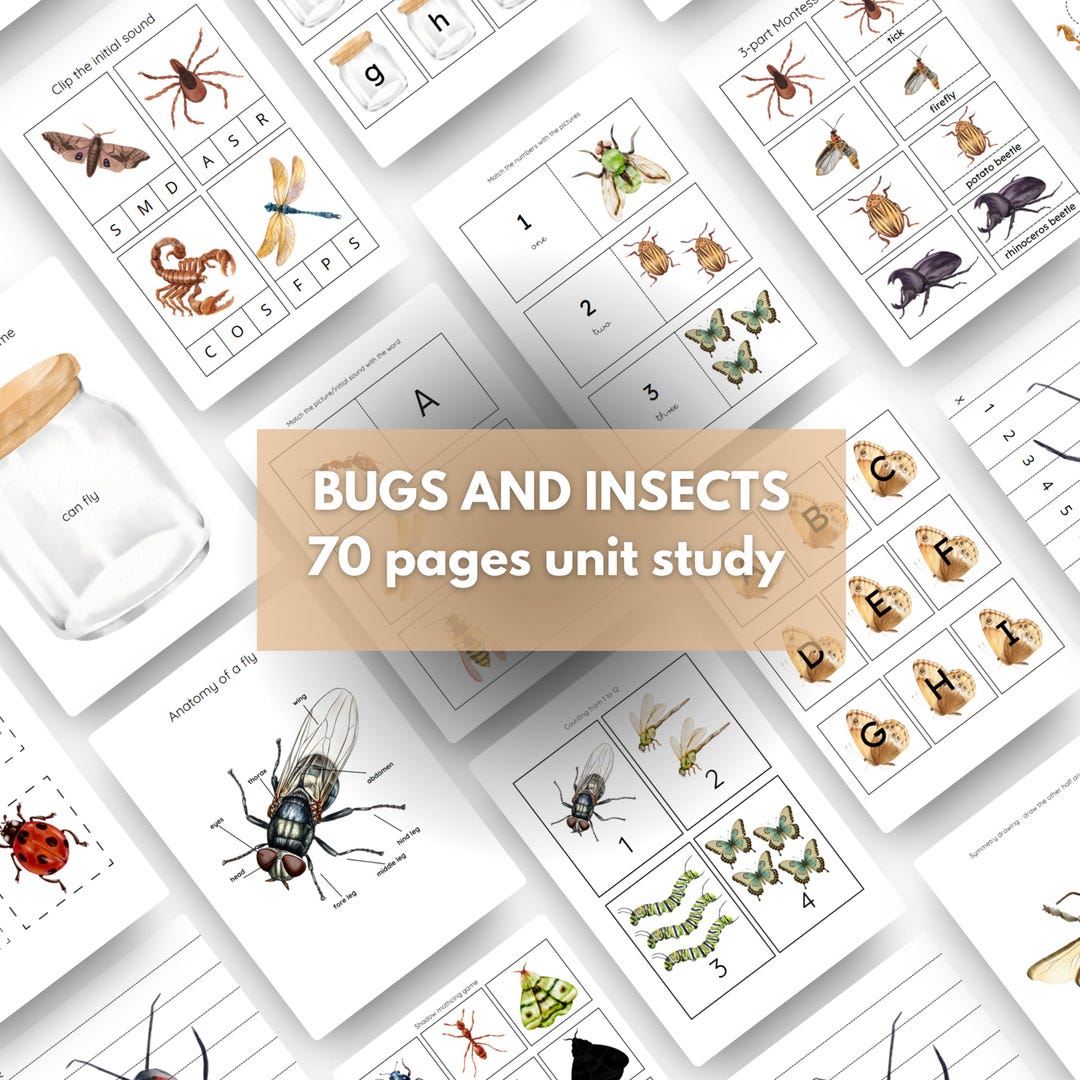 Bugs and Insects Montessori Unit Study | 70 Pages of Printable ...