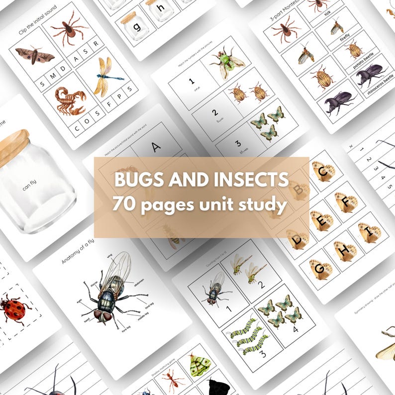 Bugs and Insects Montessori Unit Study | 70 Pages of Printable ...