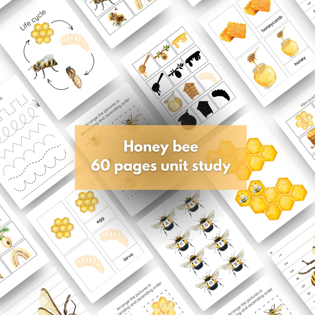 Honey Bee Montessori Unit Study for Kids | 60 Pages of Printable ...