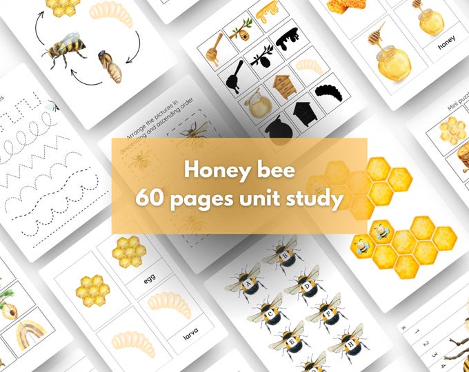 Bee Flashcards | Honeybee Flashcards | Nature Flashcards | Bee Study ...